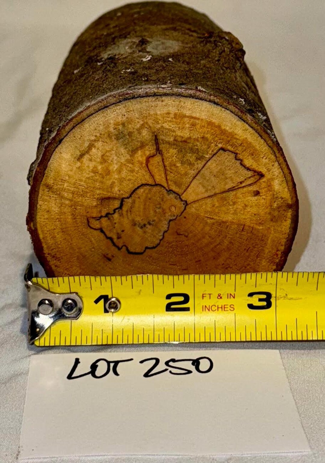 Spalted Maple Craft Log for Wood Carving, Wood Working, Wood Turning ...