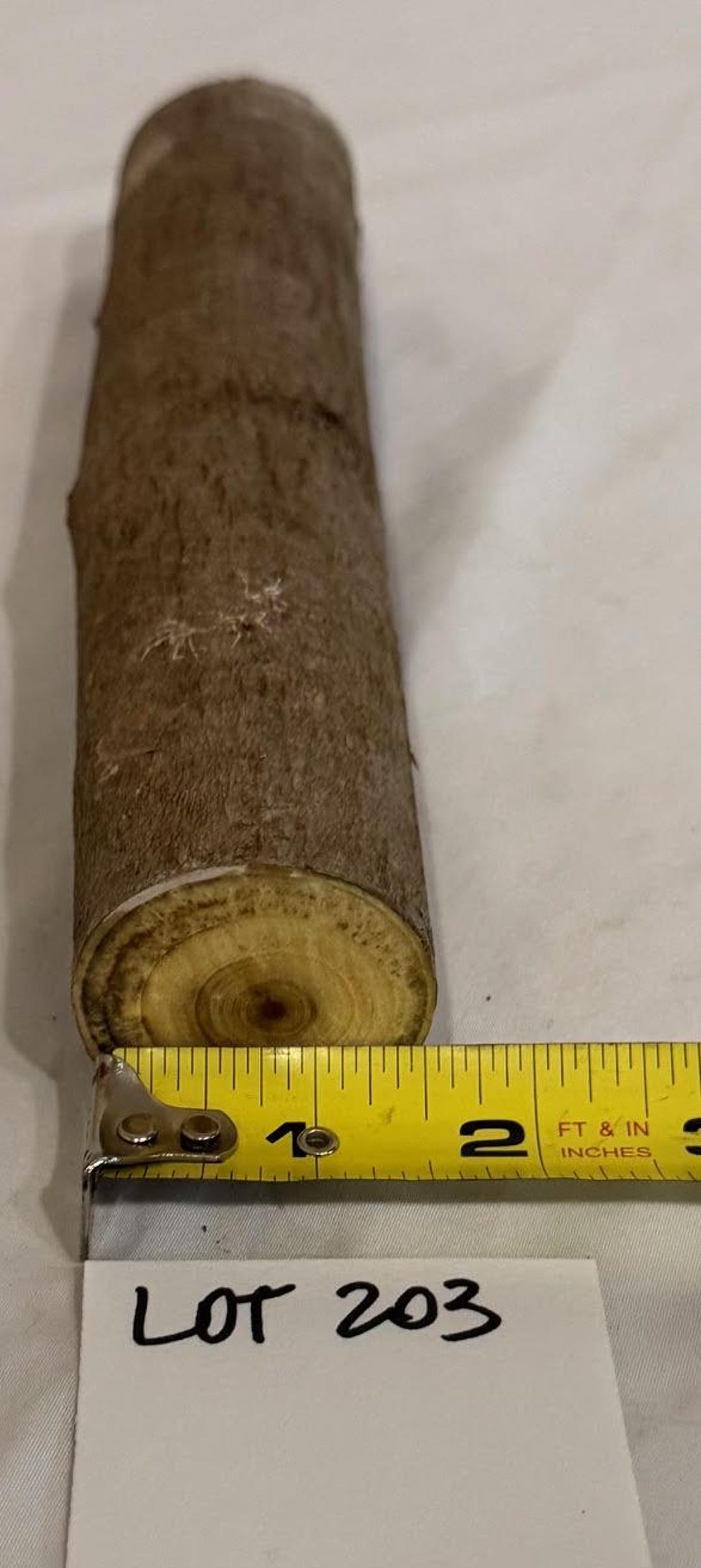 One Piece Black Locust Craft Log for Wood Working, Wood Turning, Wood ...