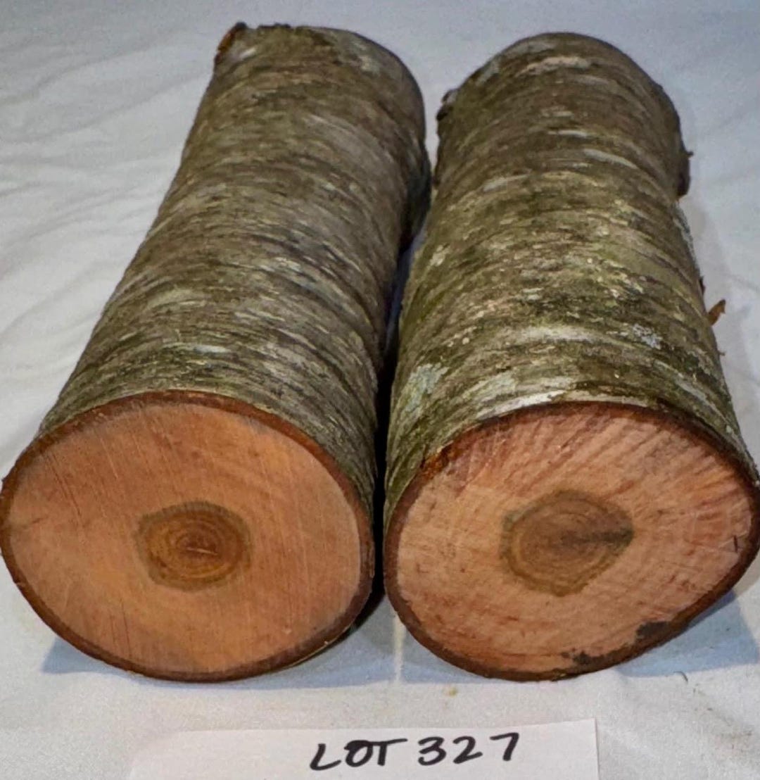 2 Pieces Black Cherry Craft Logs, Green Project Logs for Wood Working ...