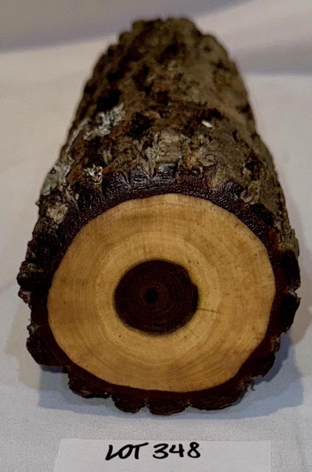 Black Walnut Craft Log, Green Project Log for Woodworking, Wood Carving ...
