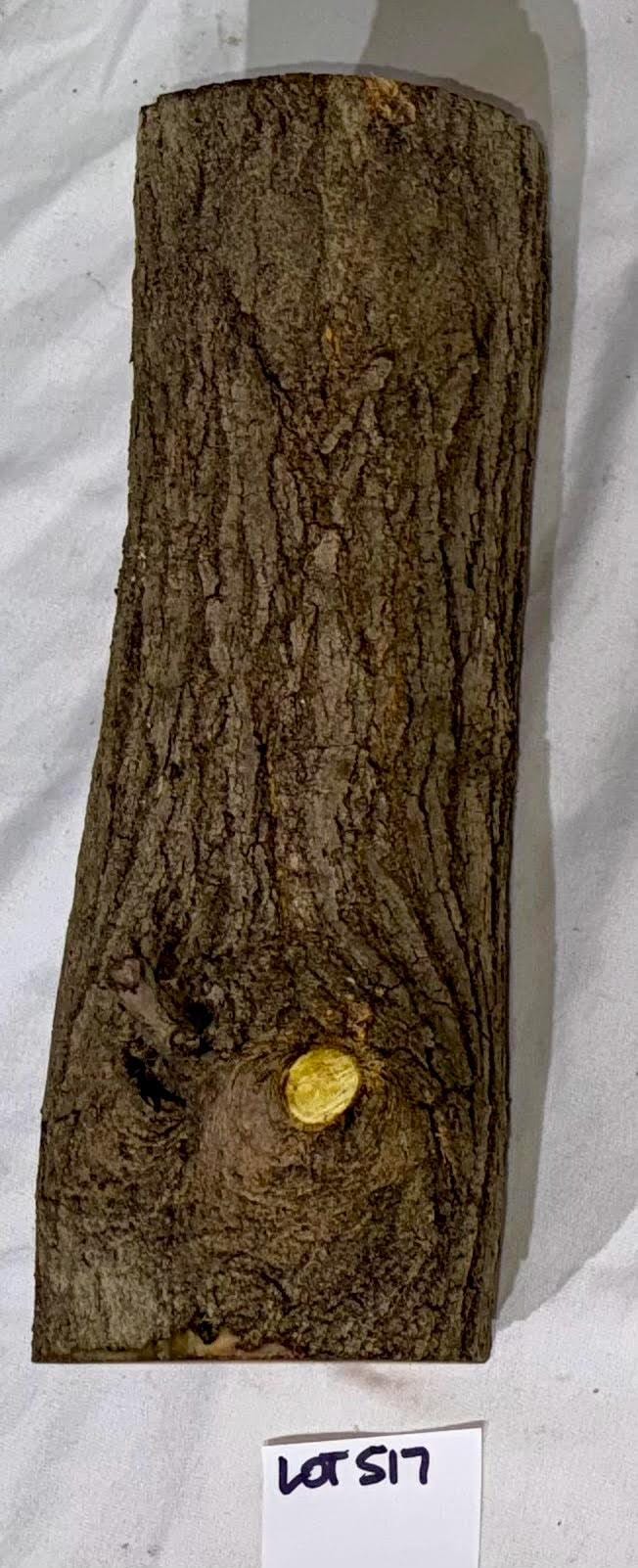Mulberry Craft Wood Log, Woodworking Carving Blank (11x3.5 In) - Etsy