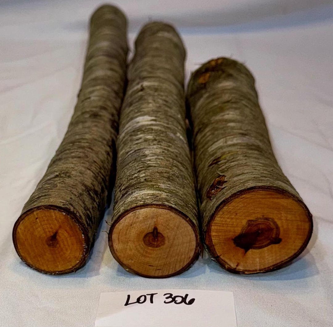 3 Pieces Black Cherry Craft Logs, Green Project Logs for Wood Working ...
