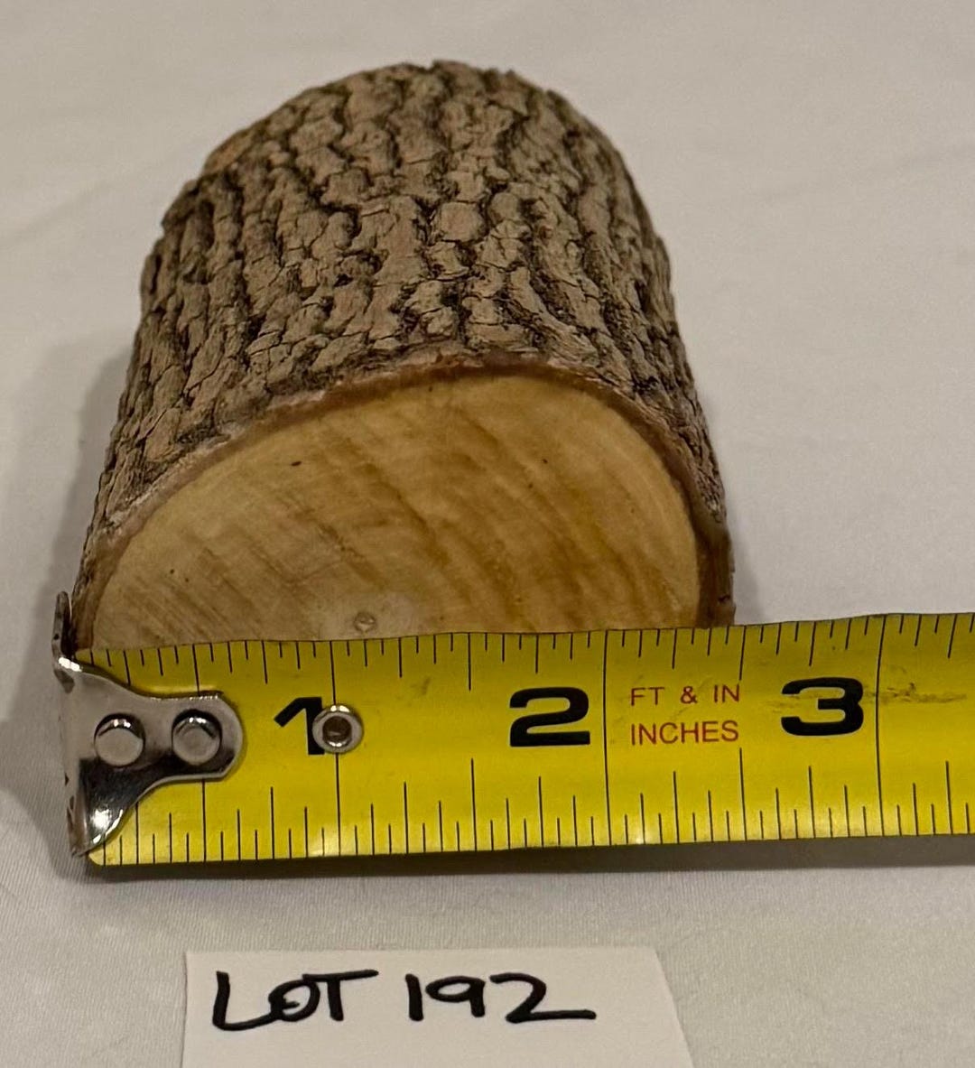 One Piece Ash Craft Log for Wood Working, Wood Turning, Wood Carving ...