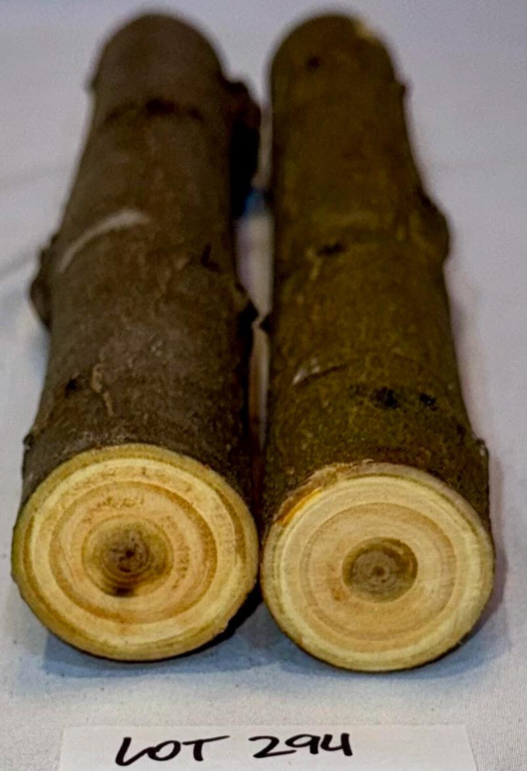 2 Pieces Black Locust Craft Logs for Wood Turning, Wood Carving, Wood ...