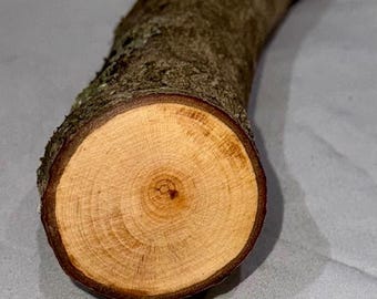 Honey Locust Project Log, Green Project Wood for Wood Carving, Wood ...