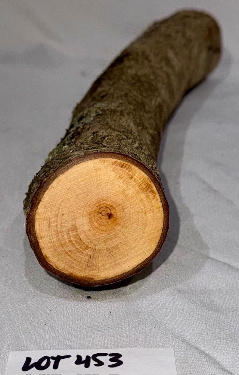 Honey Locust Craft Log, Woodworking Project Wood, 14 Inches - Etsy