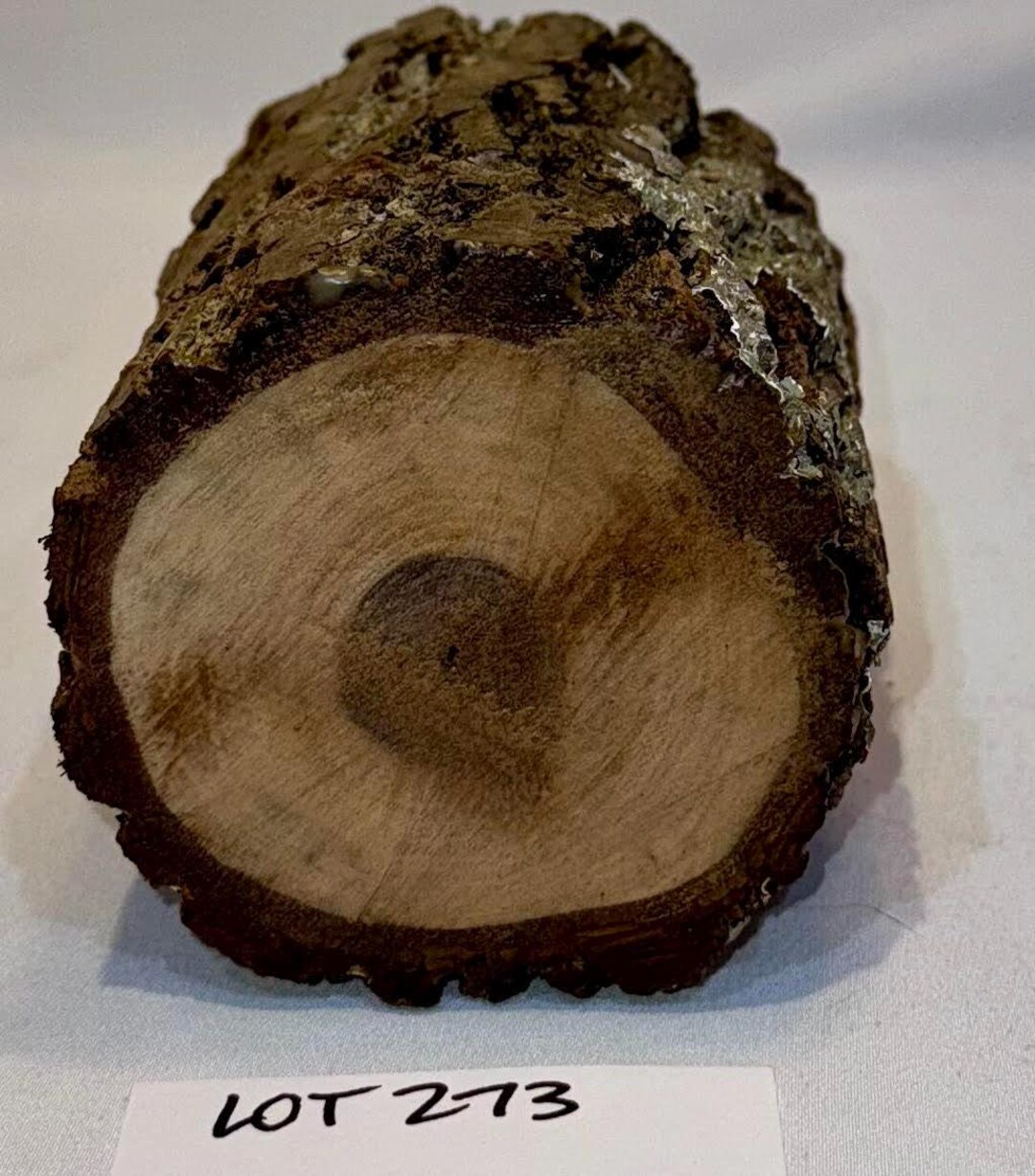 Black Walnut Craft Log, Project Log for Wood Working, Wood Turning ...