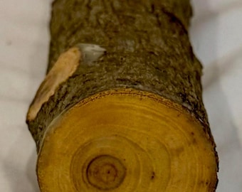 Mulberry Project Wood for Wood Turning, Wood Working, Wood Carving ...