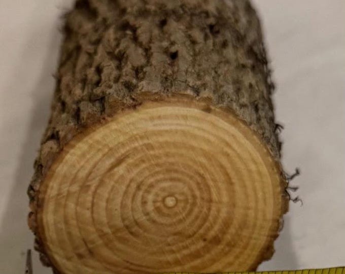 One Piece Ash Craft Log for Wood Working, Wood Turning, Wood Carving ...