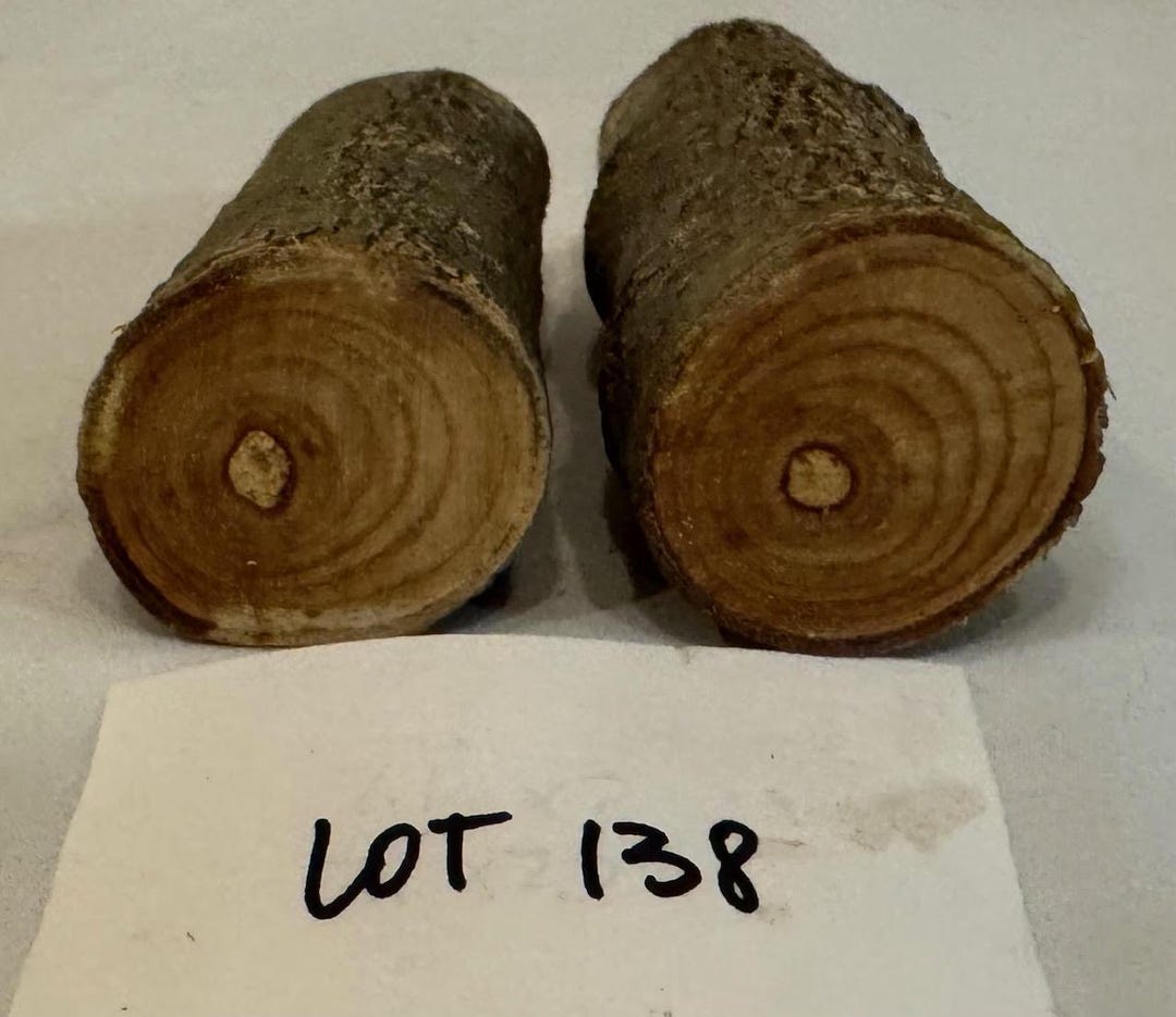 2 Pieces Ash Craft Logs for Woodworking, Woodturning, Woodcarving ...