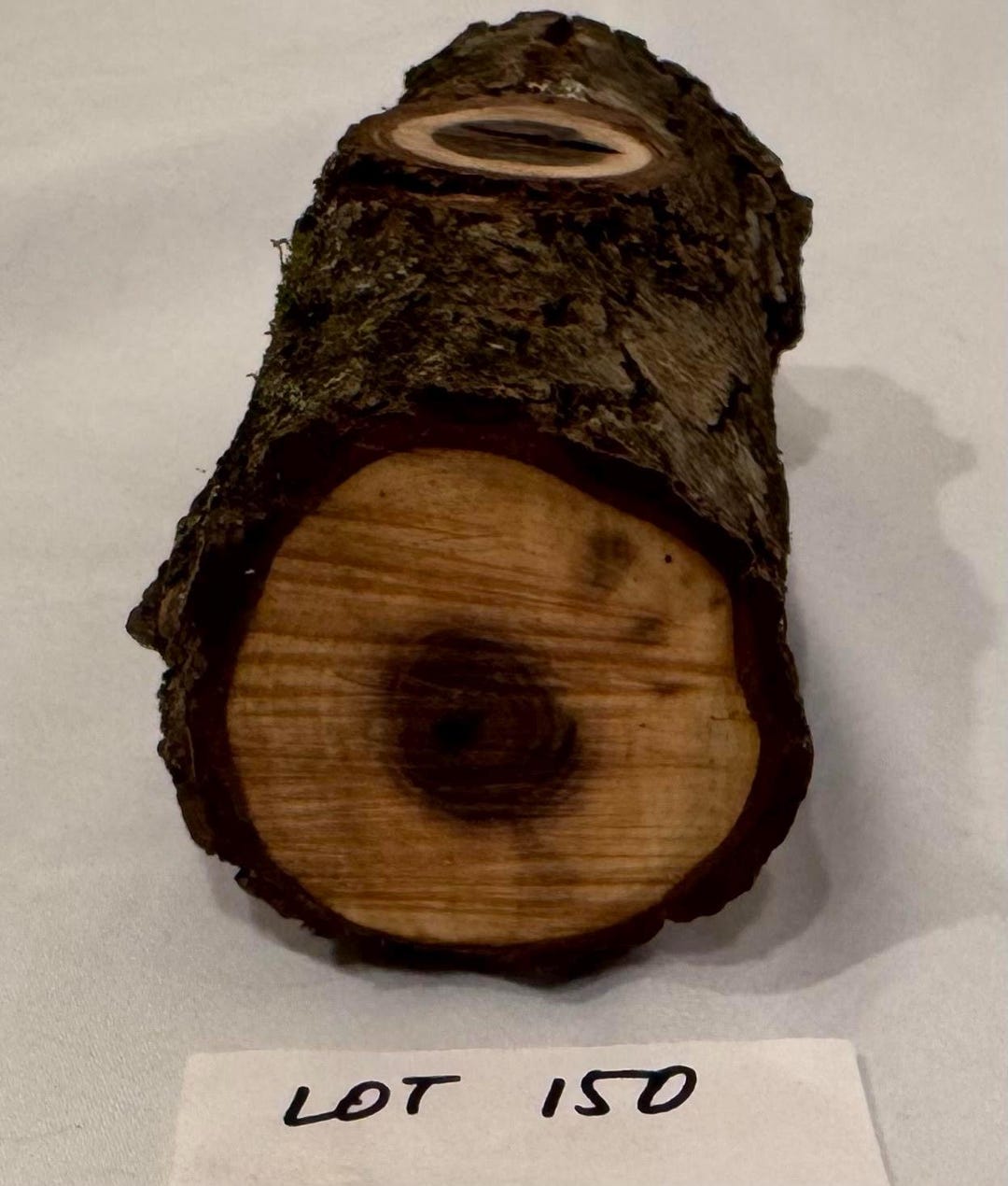 One Piece Black Walnut Craft Log for Woodworking, Woodturning ...