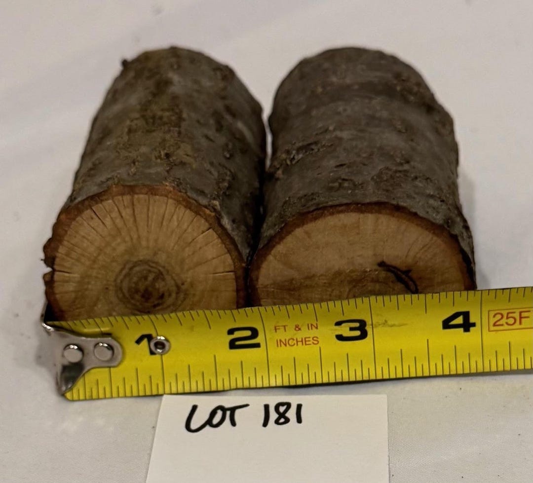 2 Pieces Oak Craft Logs for Wood Working, Wood Turning, Wood Carving ...