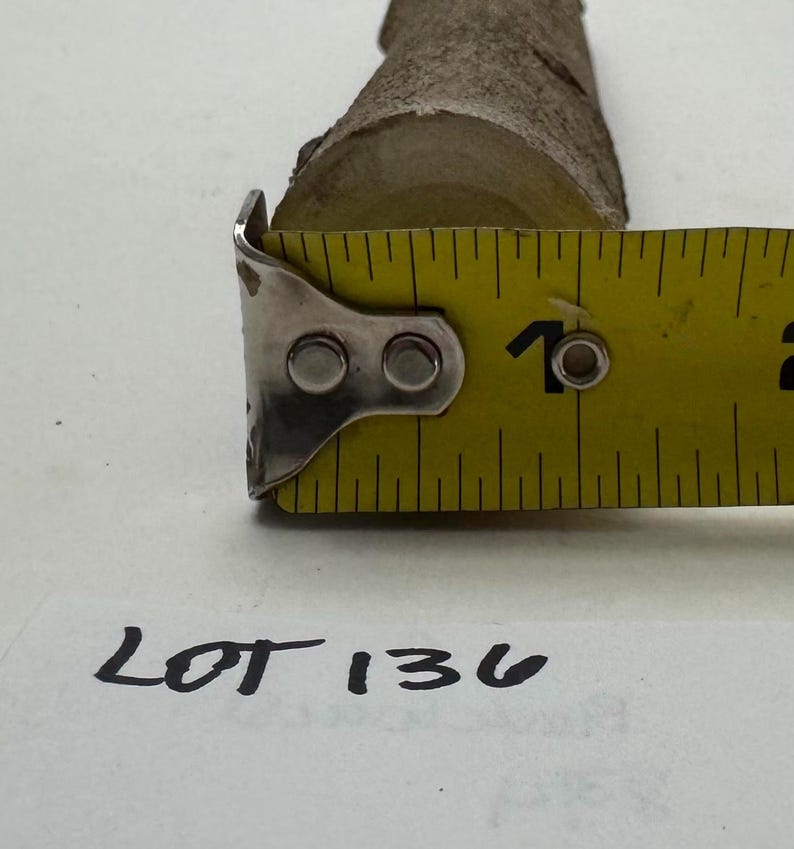 One Piece Black Locust Craft Log for Woodturning, Woodworking ...