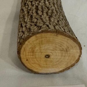 One Piece Ash Craft Log for Woodturning, Woodworking, Woodcarving ...