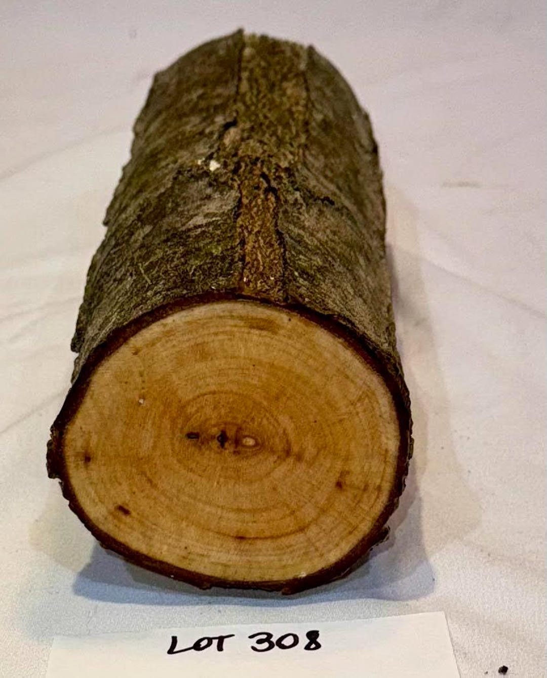 Red Maple Craft Log, Green Wood Project Log for Wood Working, Wood ...