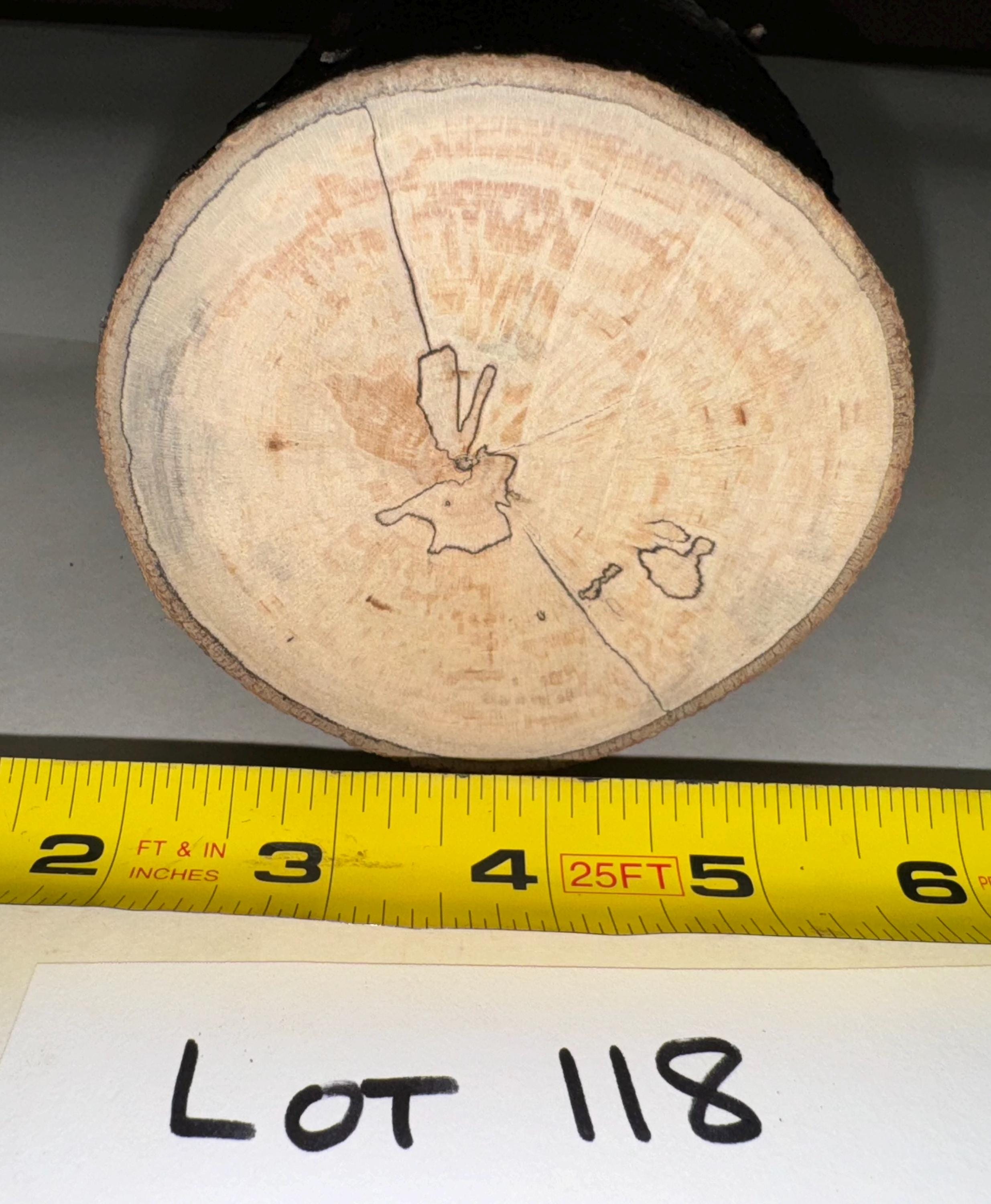 One Piece Spalted Maple Craft Log for Woodworking, Woodturning, Turning ...