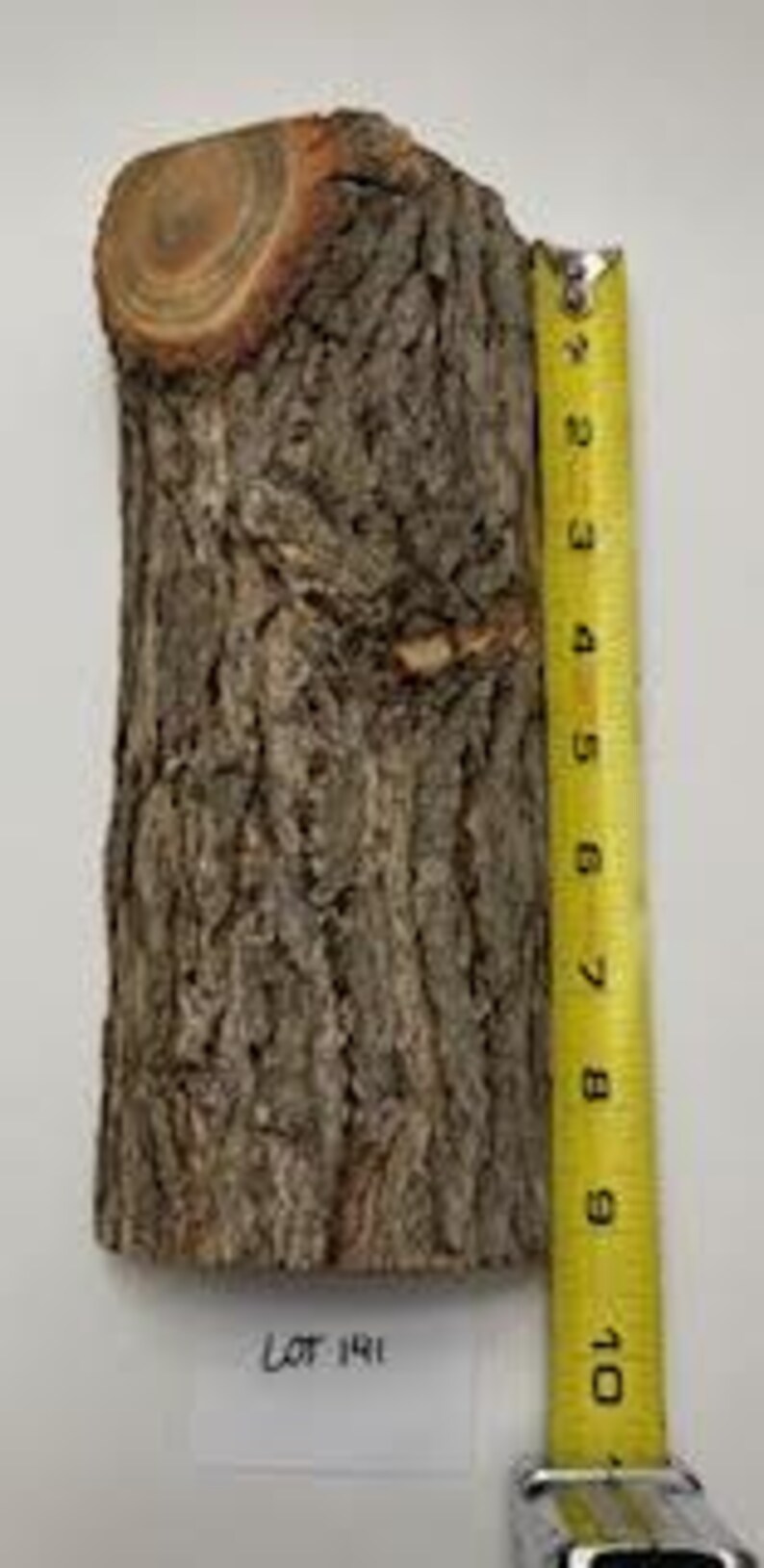 One Piece Sassafras Live Edge Craft Log for Woodworking, Woodturning ...