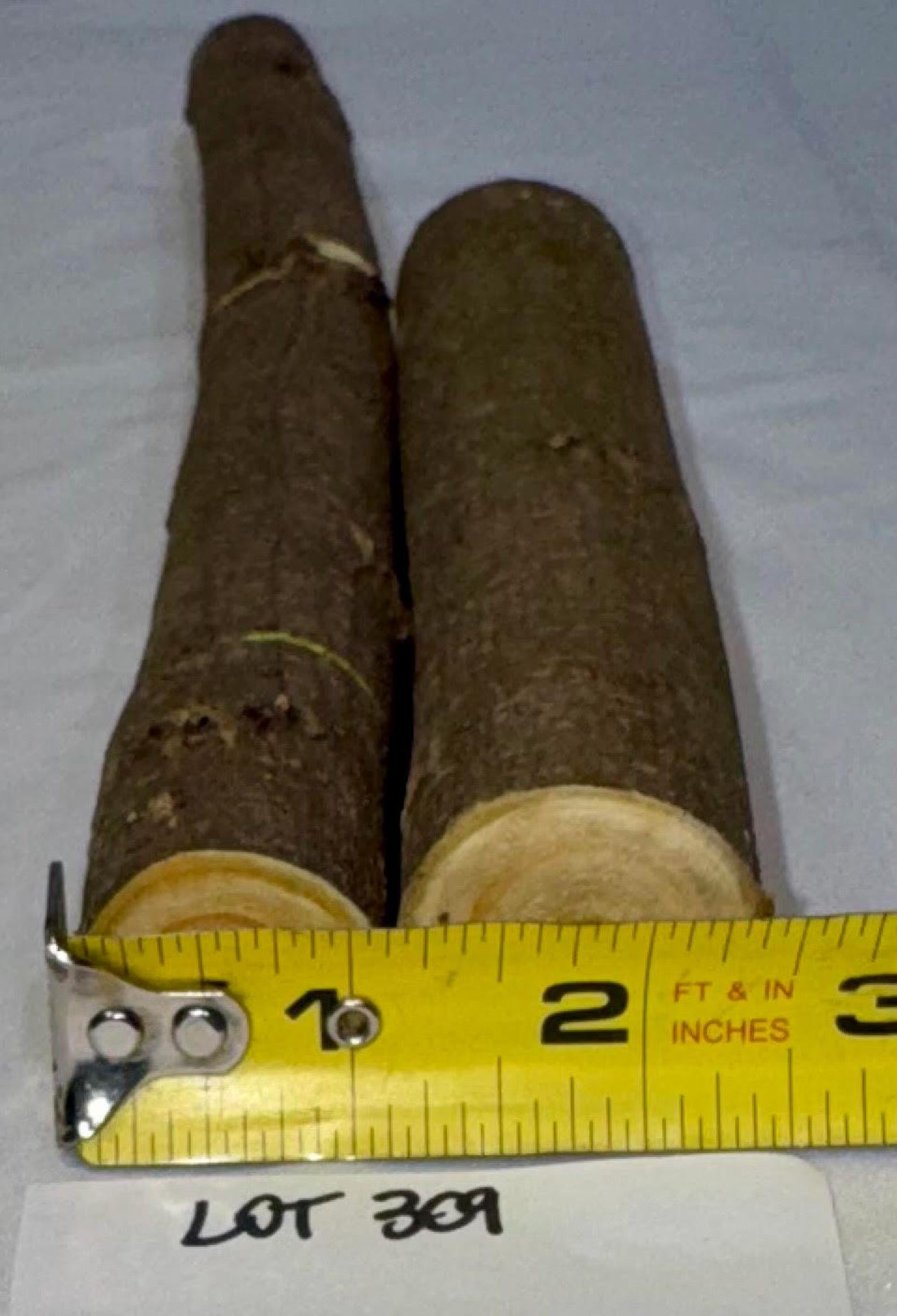 2 Pieces Black Locust Craft Logs, Green Project Wood for Turning ...