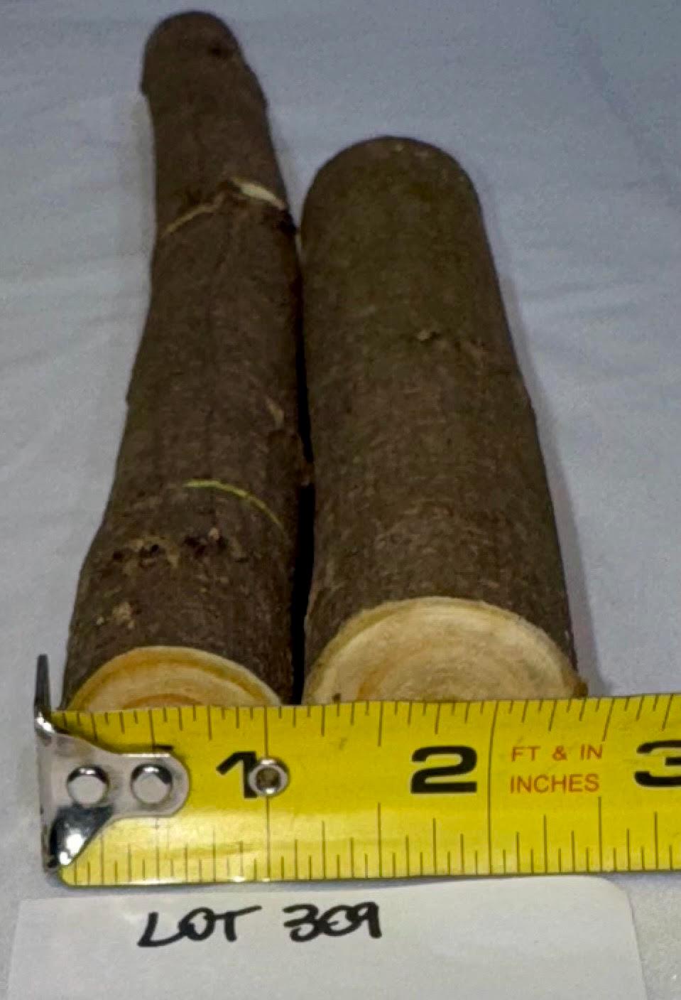 2 Pieces Black Locust Craft Logs, Green Project Wood for Turning ...