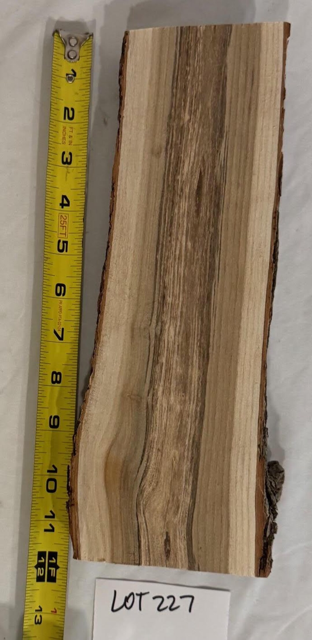 Sassafras Live Edge Project Wood for Wood Turning, Wood Working, Wood ...