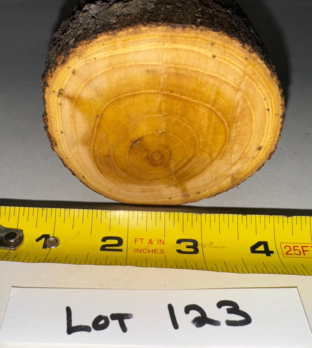 One Piece Natural Mulberry Craft Log for Woodworking, Woodturning ...