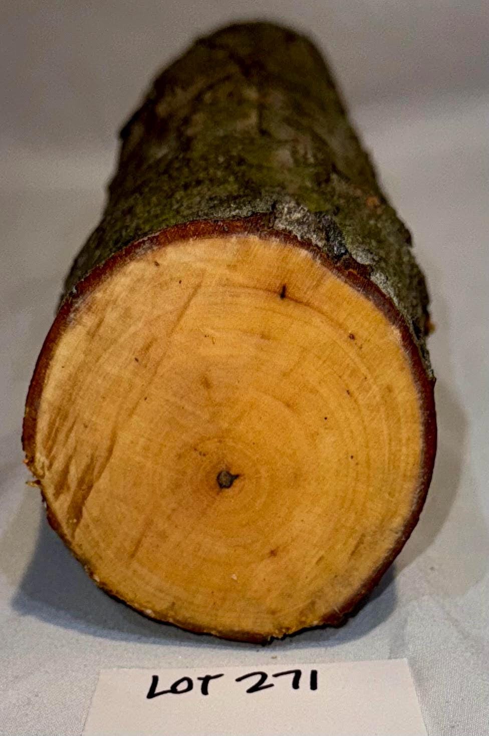 Red Maple Craft Log, Green Wood Project Wood for Wood Turning, Wood ...