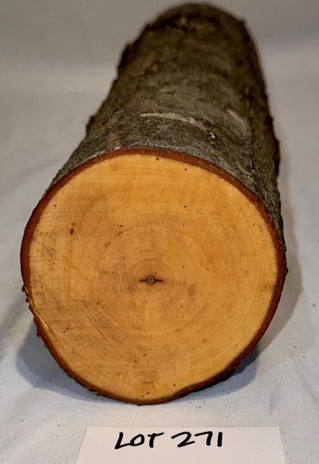 Red Maple Craft Log, Green Wood Project Wood for Wood Turning, Wood ...