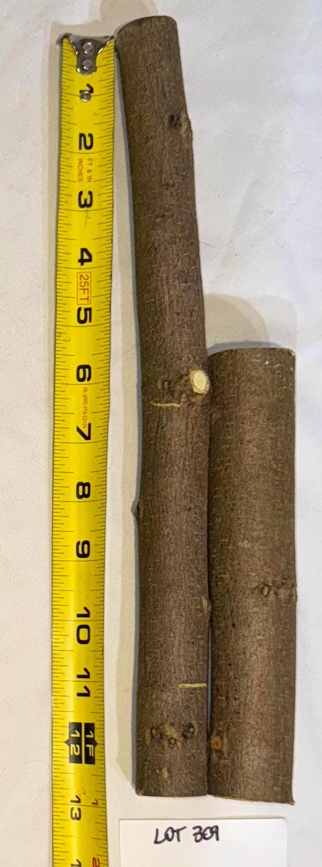 2 Pieces Black Locust Craft Logs, Green Project Wood for Turning ...