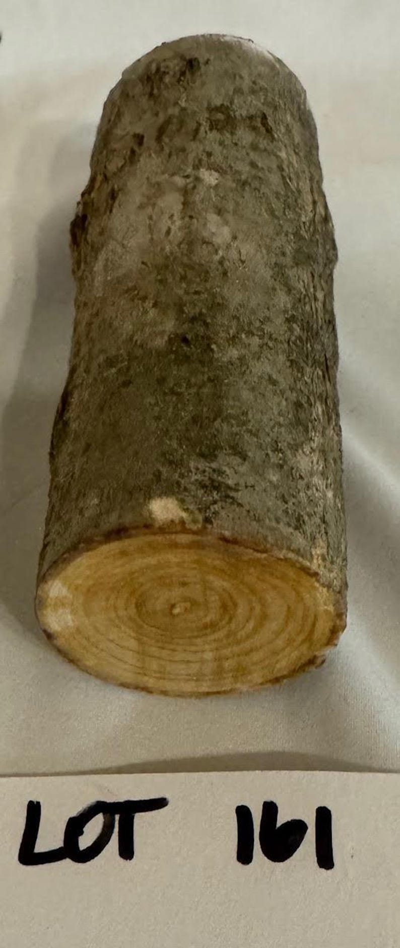 One Piece Ash Craft Log for Woodworking, Woodturning, Woodcarving ...