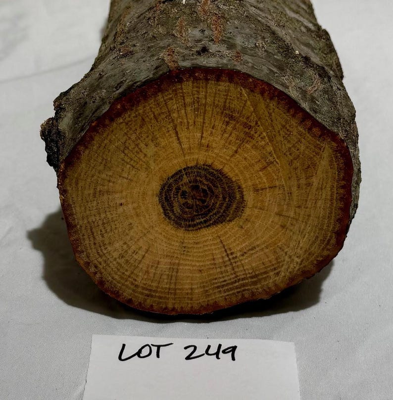 Green Oak Project Log for Wood Turning, Wood Working, Wood Carving ...