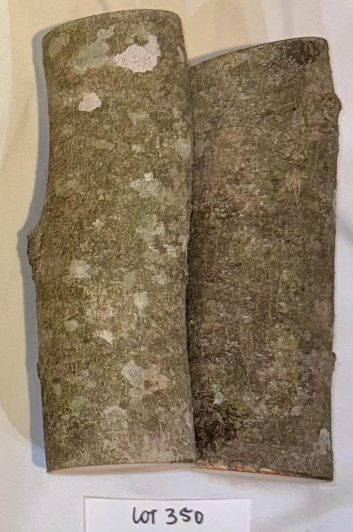 2 Pieces Red Maple Craft Logs, Green Project Logs for Woodworking, Wood ...