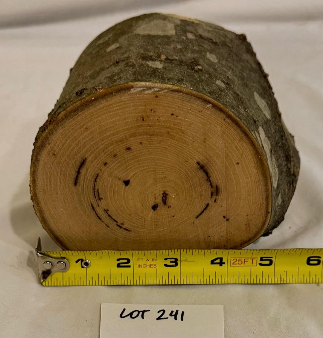 Hackberry Craft Log, Green Project Wood for Wood Working, Wood Carving, Wood Turning, Crafts or ...