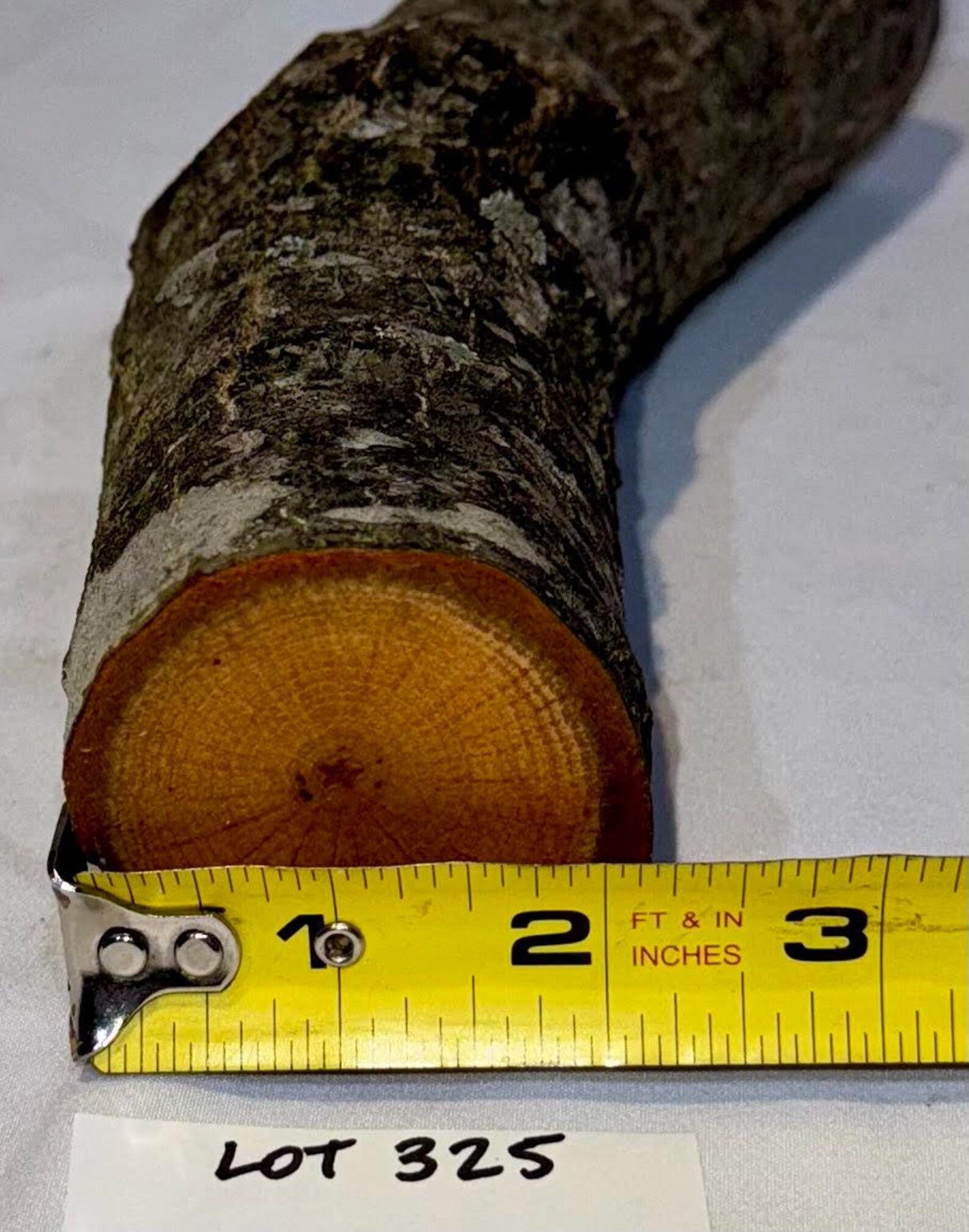 Honey Locust Craft Log, Green Project Wood for Wood Working, Wood ...