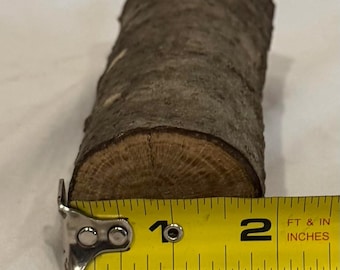 Spalted Red Oak Craft Log, Project Wood for Woodworking, Wood Carving ...