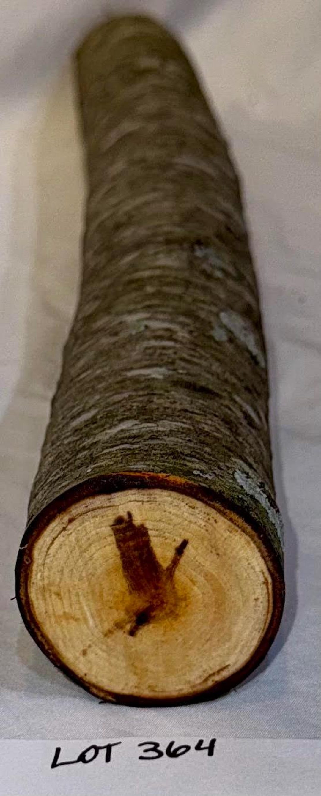Black Cherry Wood Craft Log, Woodworking Carving Blank - Etsy