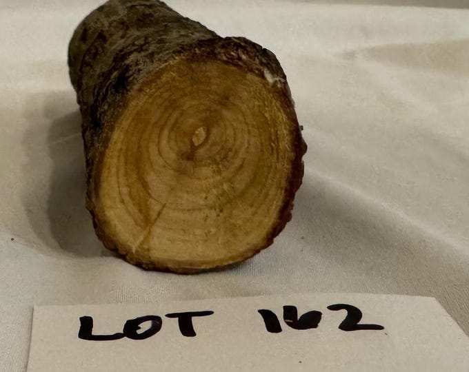 One Piece Ash Craft Log for Woodworking, Woodturning, Woodcarving ...