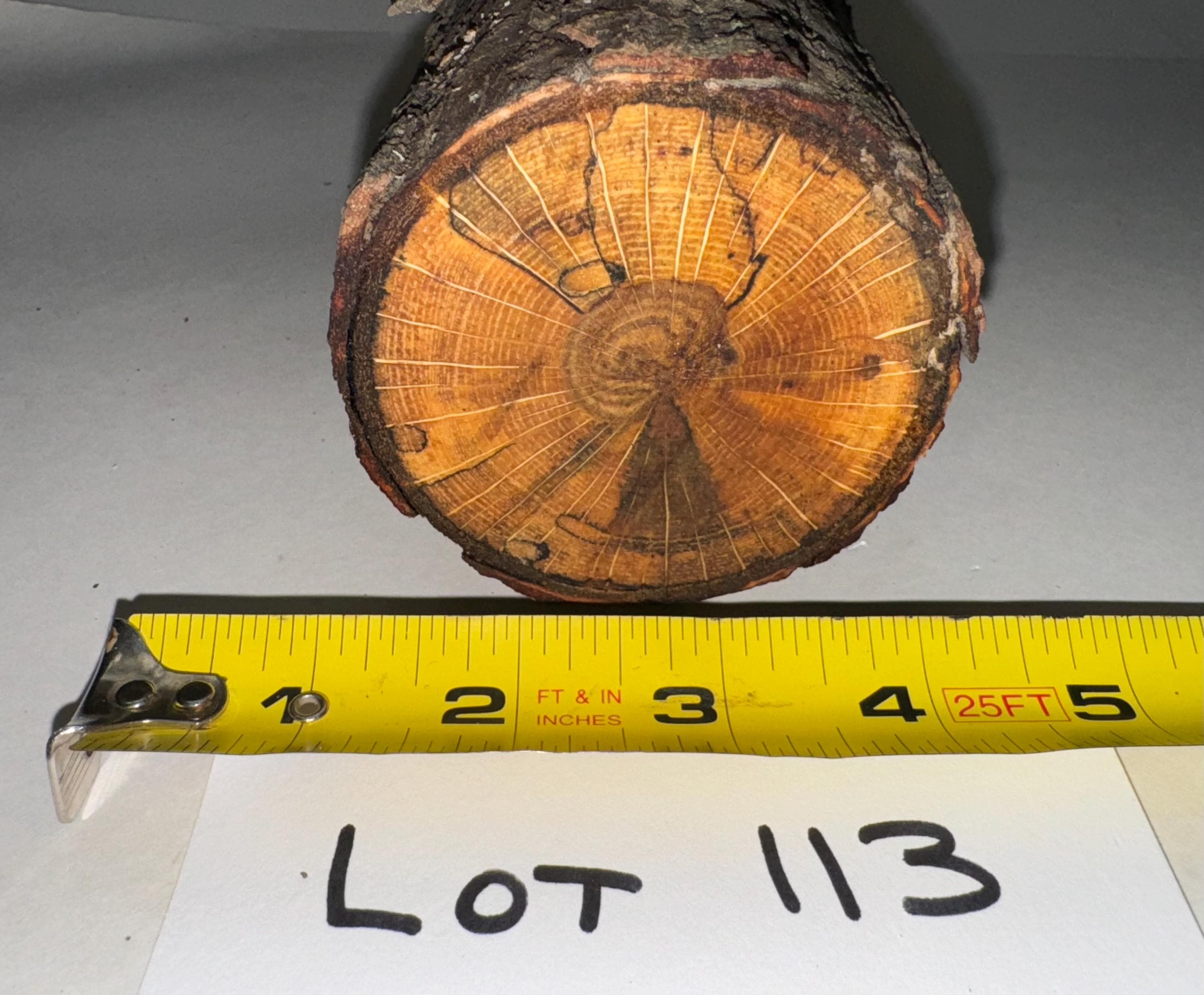 One Piece Spalted White Oak Craft Log for Woodworking, Woodturning ...