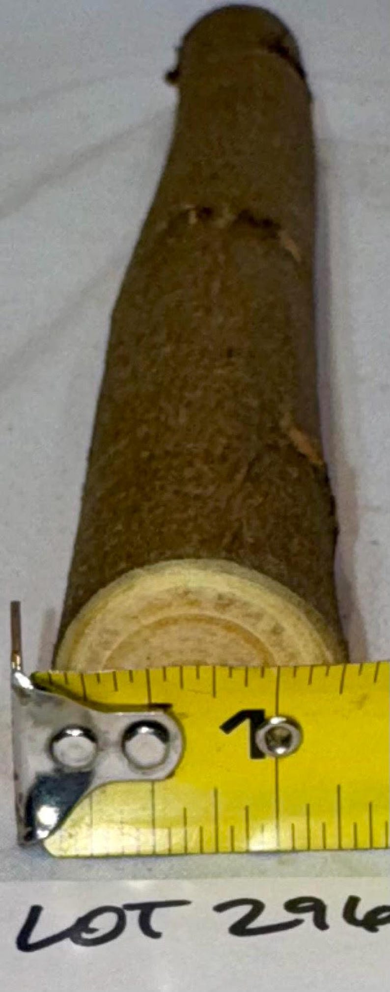 Black Locust Craft Log, Green Craft Log for Wood Turning, Wood Carving ...