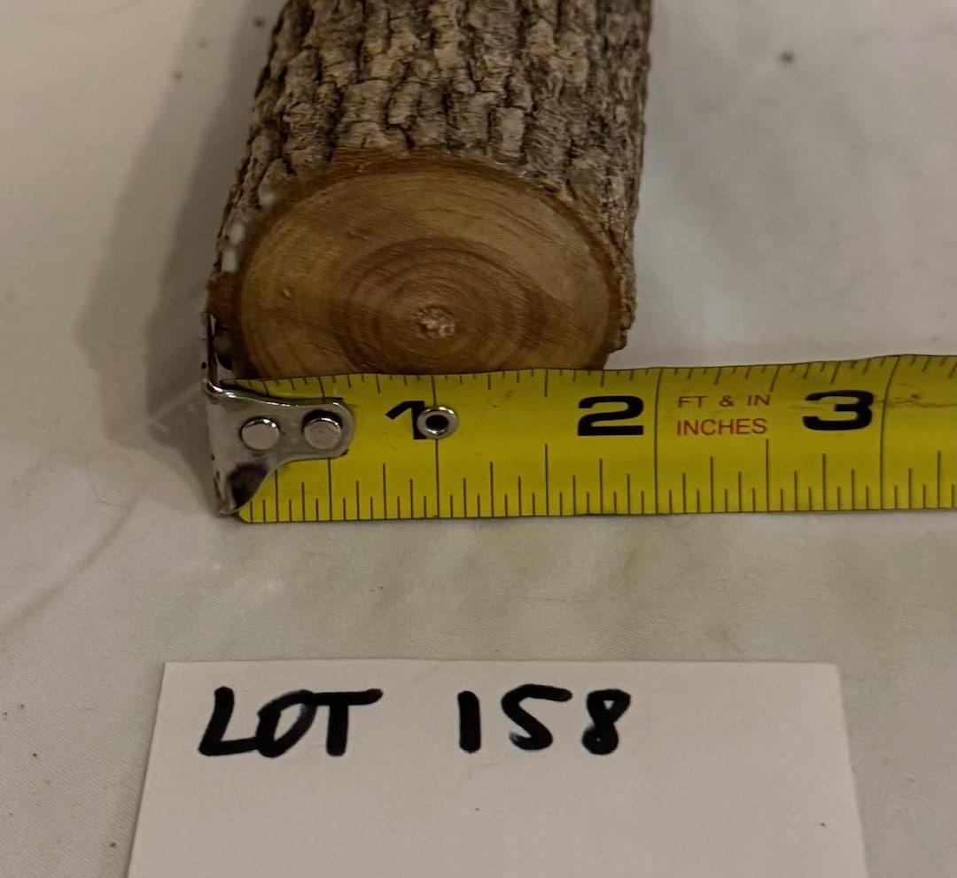 One Piece Ash Craft Log for Woodworking, Woodturning, Woodcarving ...