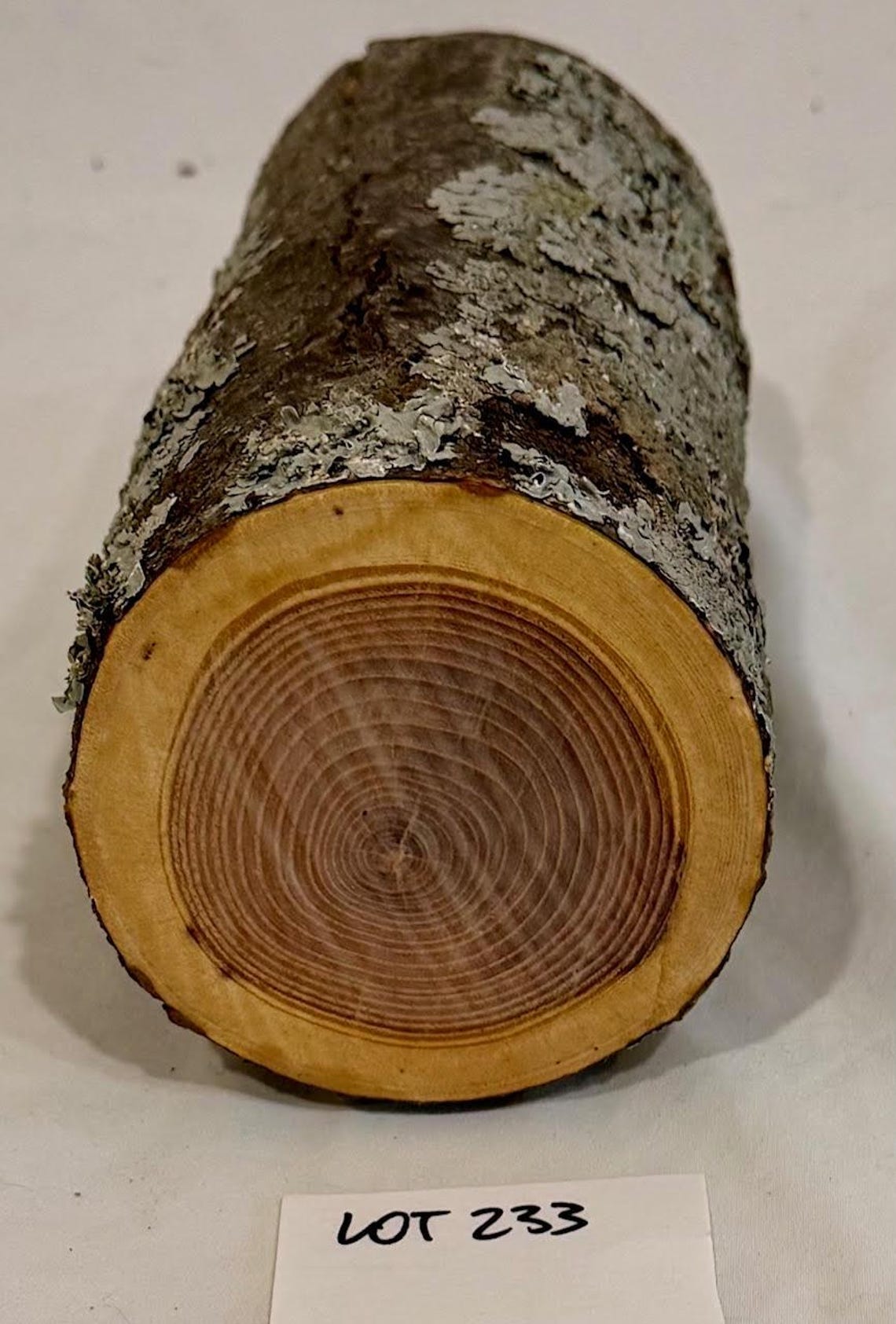 Honey Locust Project Log, Green Project Wood for Woodworking, Wood ...