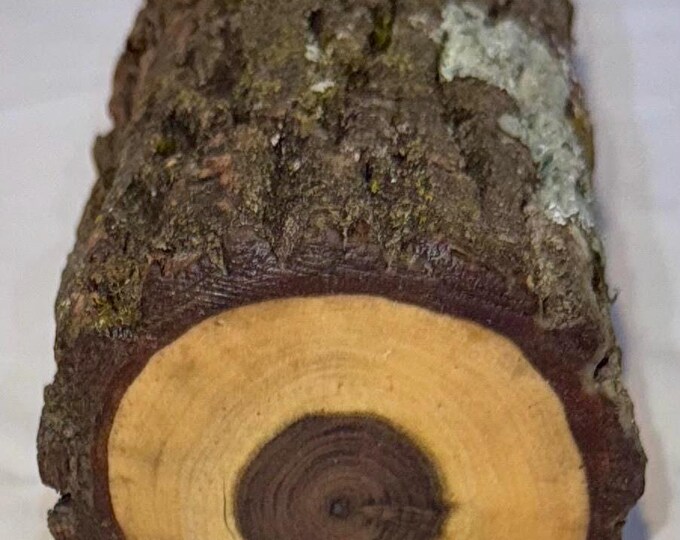 Black Walnut Craft Log, Green Project Log for Wood Working, Wood ...