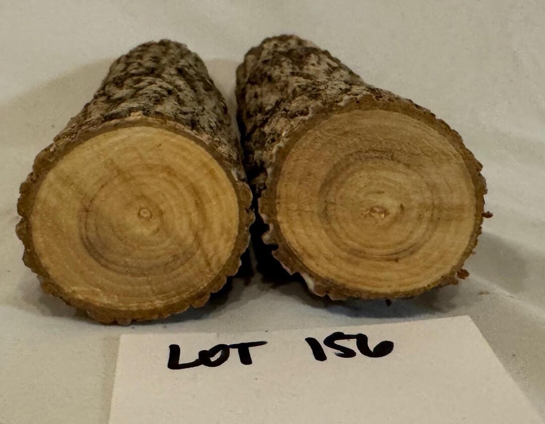 Two Pieces Ash Craft Logs for Woodturning, Woodworking, Woodcarving ...