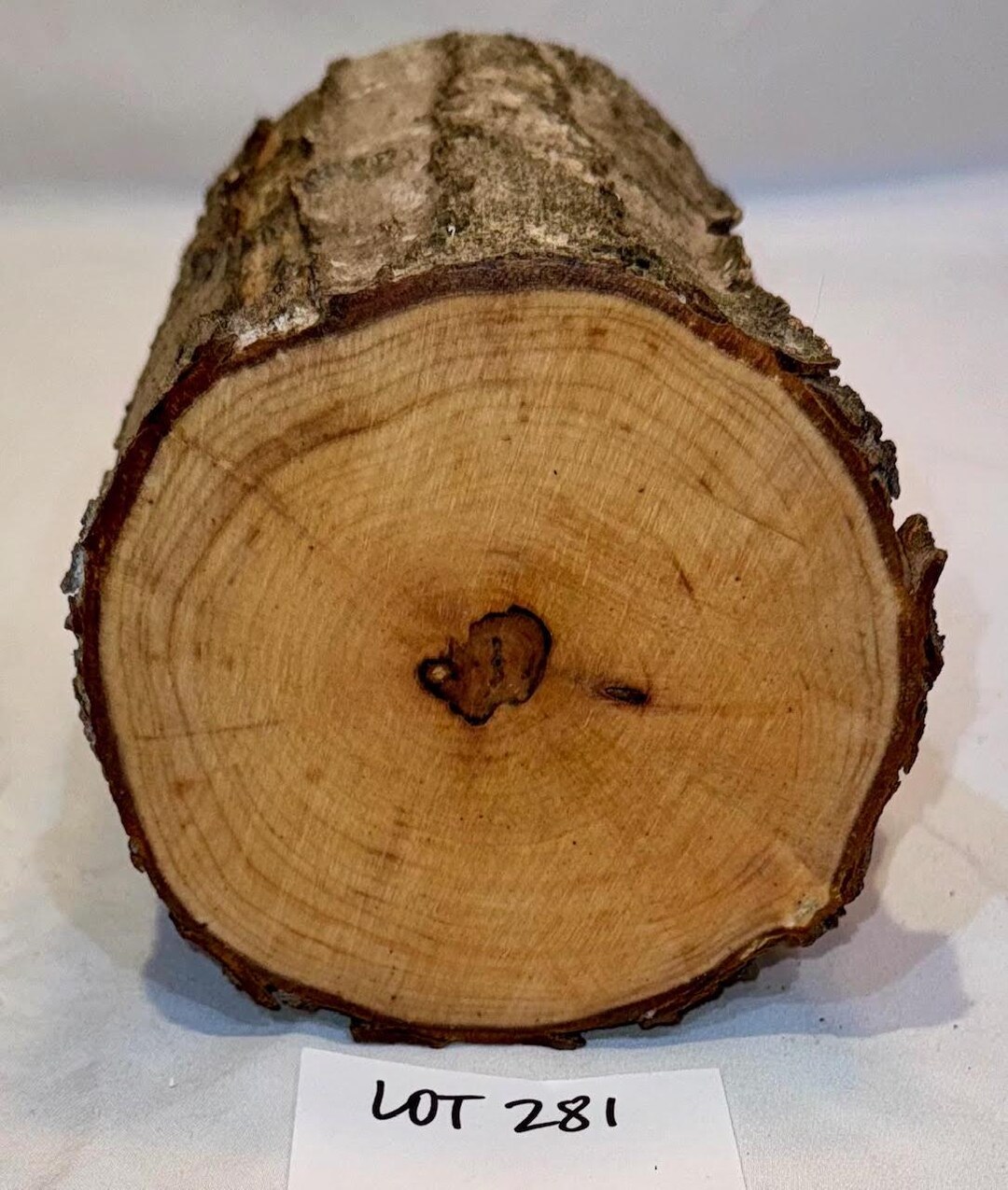 Red Maple Craft Log, Green Project Wood for Wood Working, Wood Turning ...