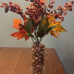 12+ Northern Red Oak Craft Acorns, Craft Supplies, Seasonal Decoration ...