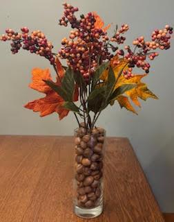 12+ Northern Red Oak Craft Acorns, Craft Supplies, Seasonal Decoration ...