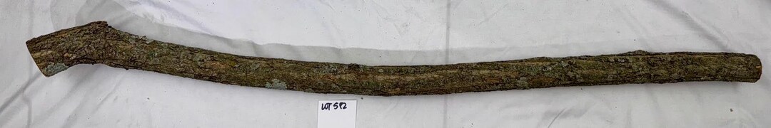 Black Locust Wood Cane Blank, Woodworking Project Wood, 39 Inch - Etsy