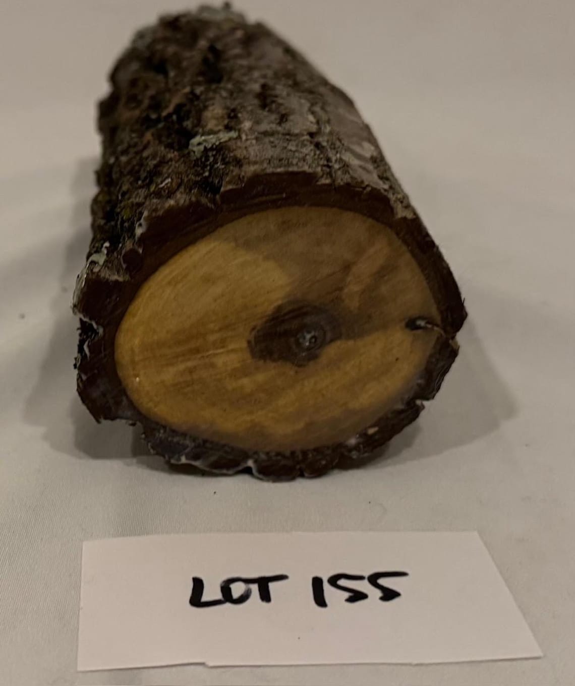 One Piece Black Walnut Craft Log for Woodworking, Woodturning, Turning ...