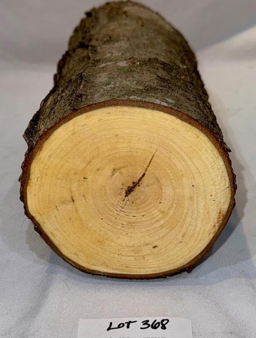Red Maple Craft Log, Green Project Wood for Woodworking, Wood Carving ...