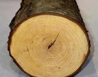 Spalted Red Oak Craft Log, Project Wood for Woodworking, Wood Carving ...