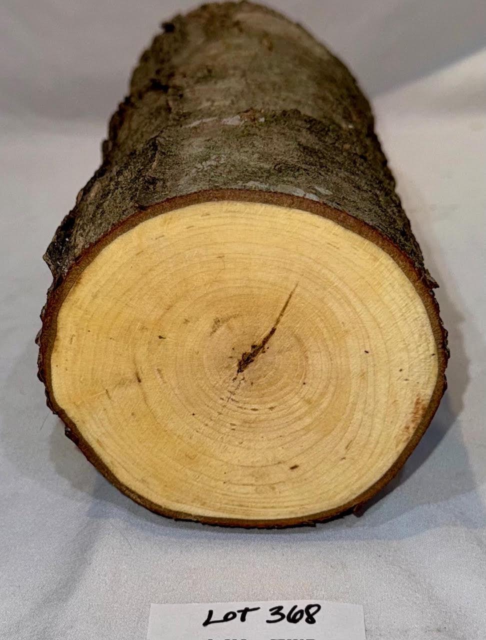 Red Maple Craft Log, Green Project Wood for Woodworking, Wood Carving ...